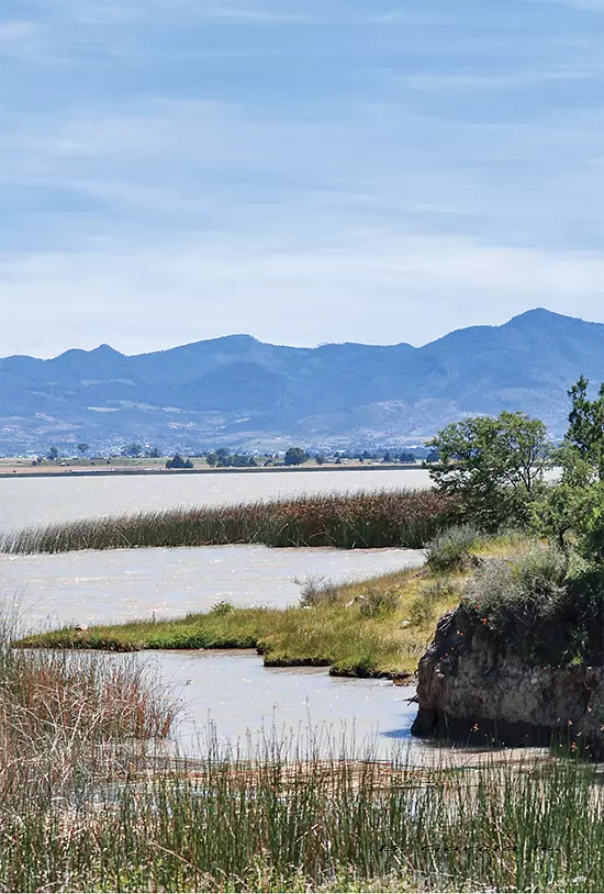 Dört elementin rotası: Sierra de Tlaxco'dan La Malinche'ye 20818_6