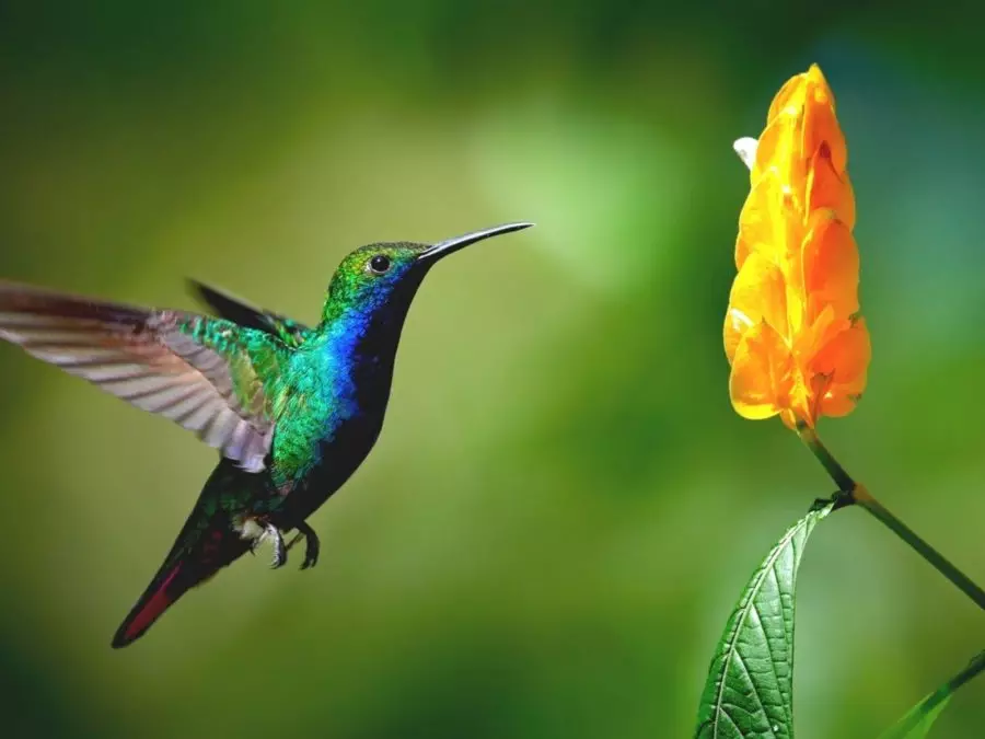 குழந்தைகளுக்கான இறந்த நாளின் புராணக்கதைகள்