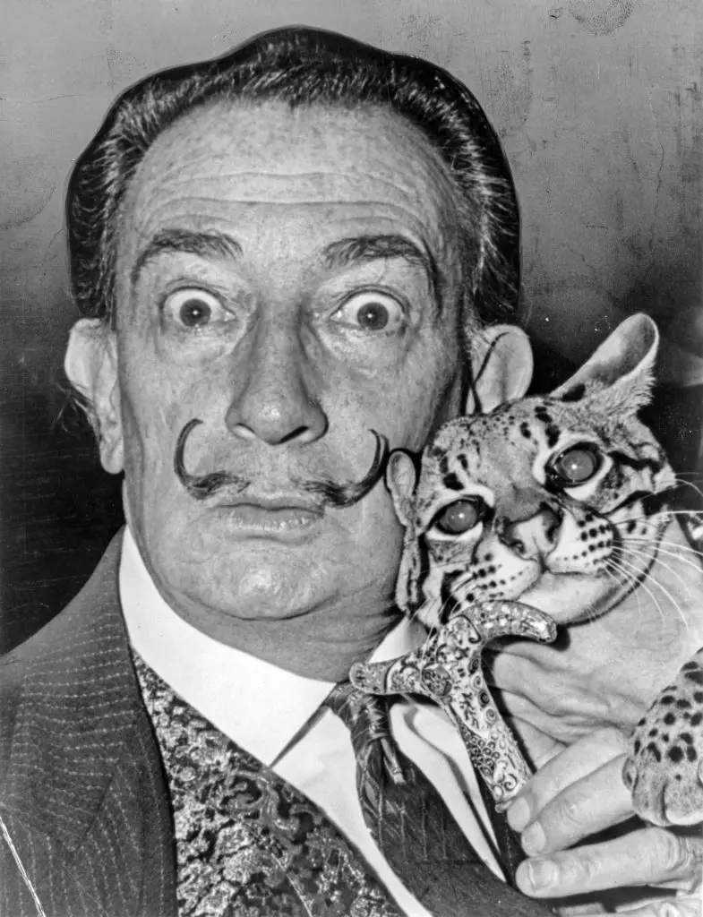 Ocelot, meksykański kot, w którym zakochał się Salvador Dalí 20894_6