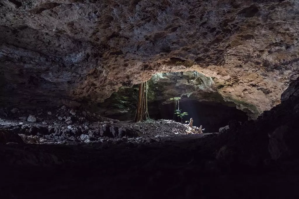 Aldama, tujuan wisata yang menakjubkan untuk ekspedisi naturalis 20897_7