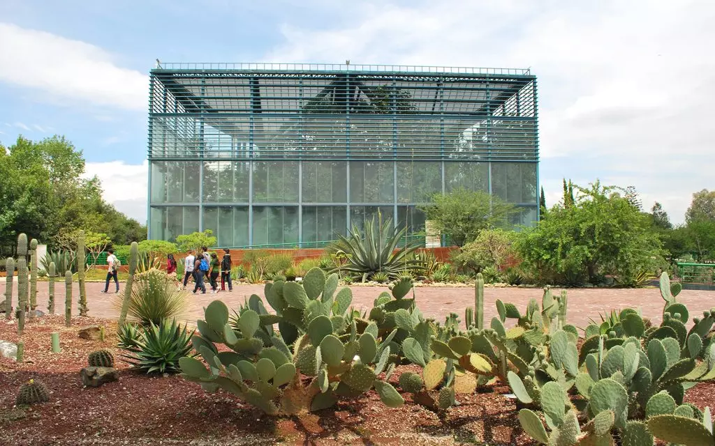 Iyo CDMX Bicentennial Park, inoshamisa nzvimbo yakasvibira 20949_7