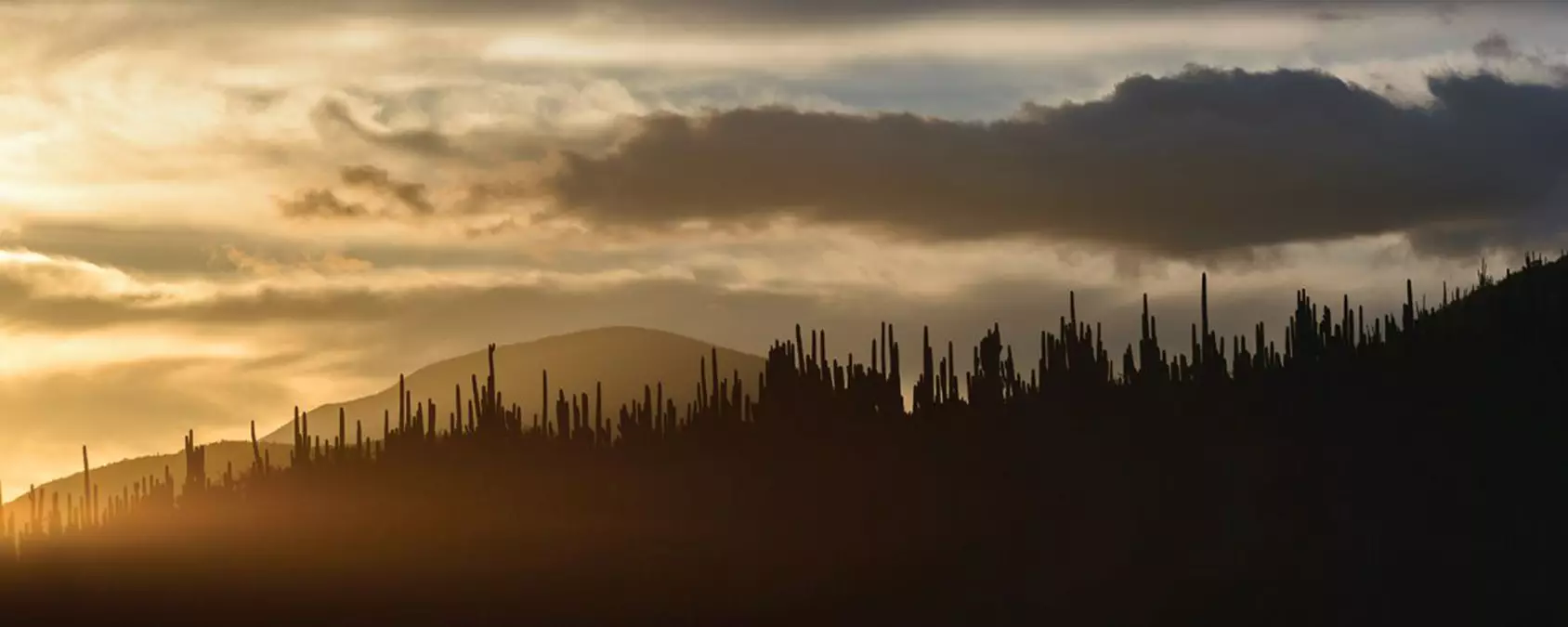 tehuacan-وادي-ميڪسيڪو-_1200