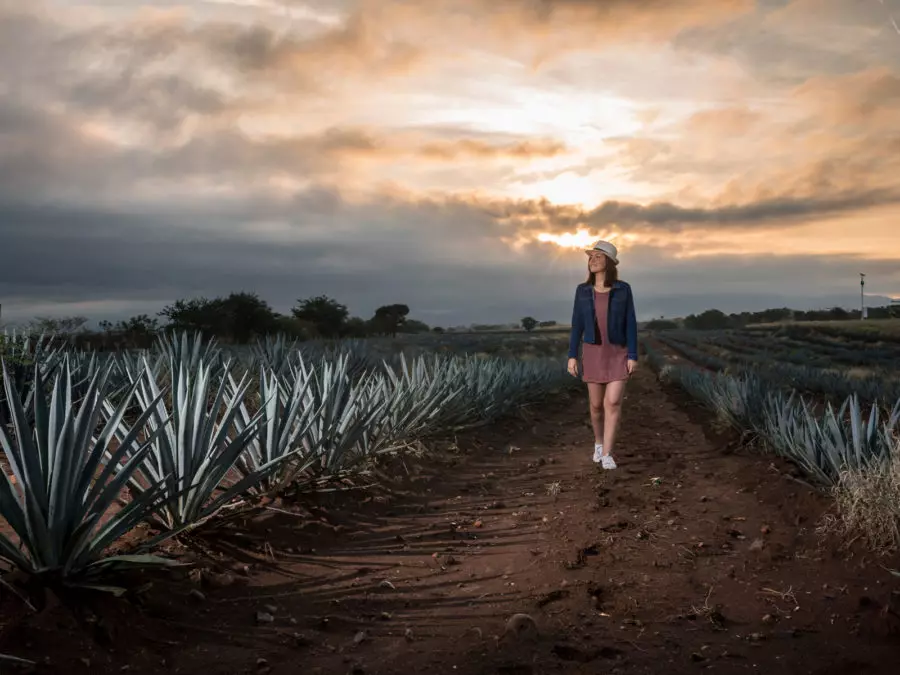 Giornata Internazionale della Tequila, ciao! 20999_2