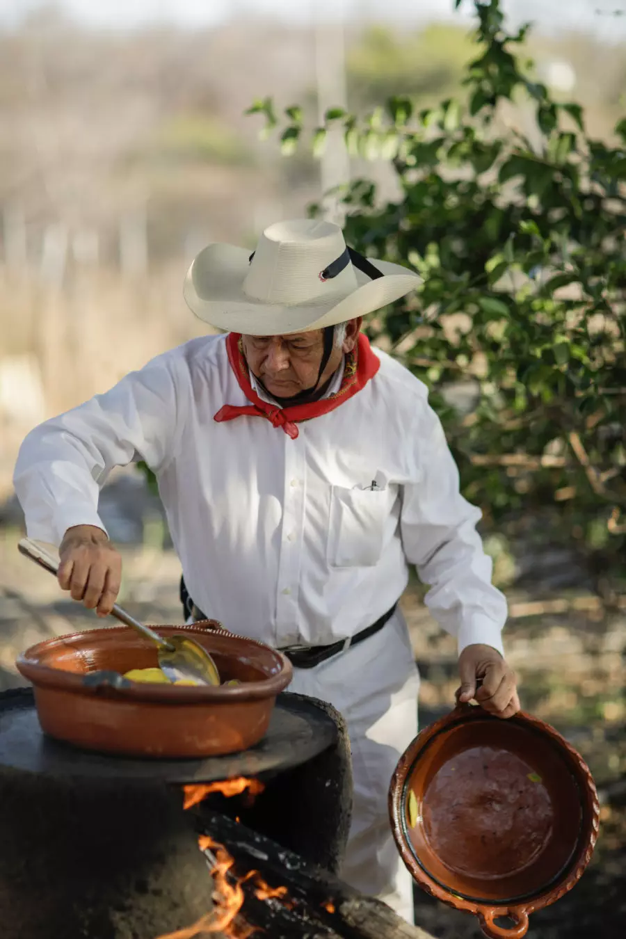 Lucila ແລະ José Cornejo ຫຼືຜົນປະໂຫຍດຂອງ gastronomy Mexican ຂອງ Tierra Caliente 21108_9