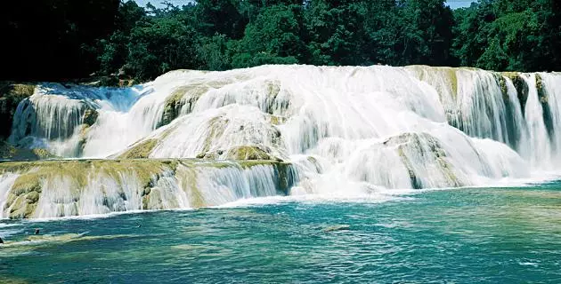 Bii o ṣe le de igbo Lacandona ni Chiapas? fifu