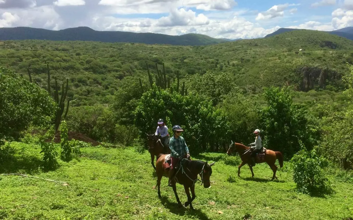 Irány a hacienda-Guegorene