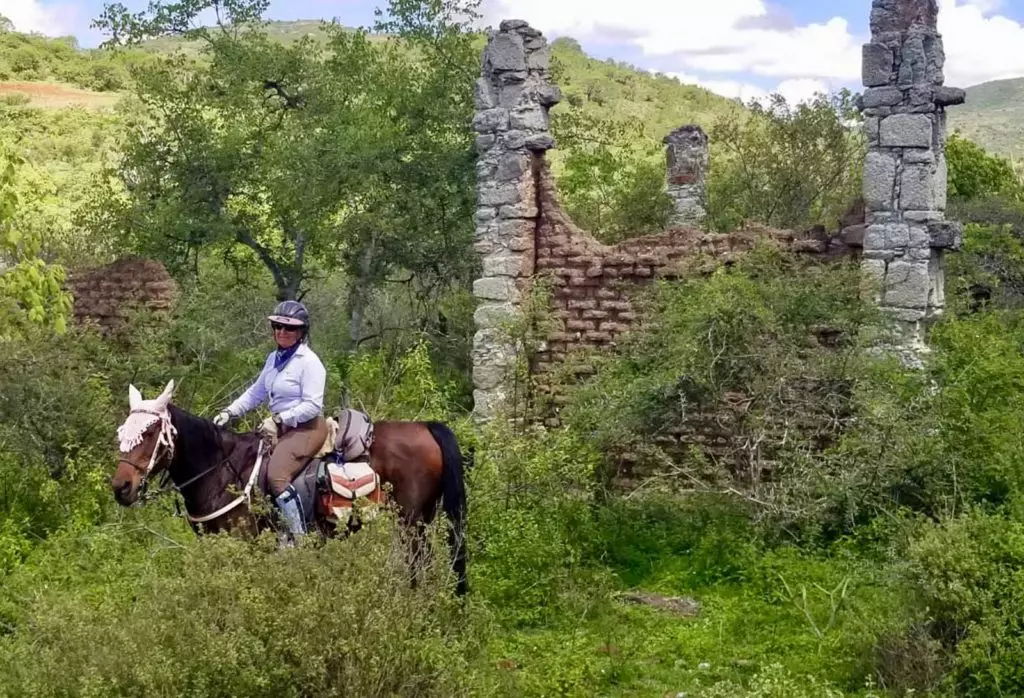 Découvrez Oaxaca à cheval ! 21131_2