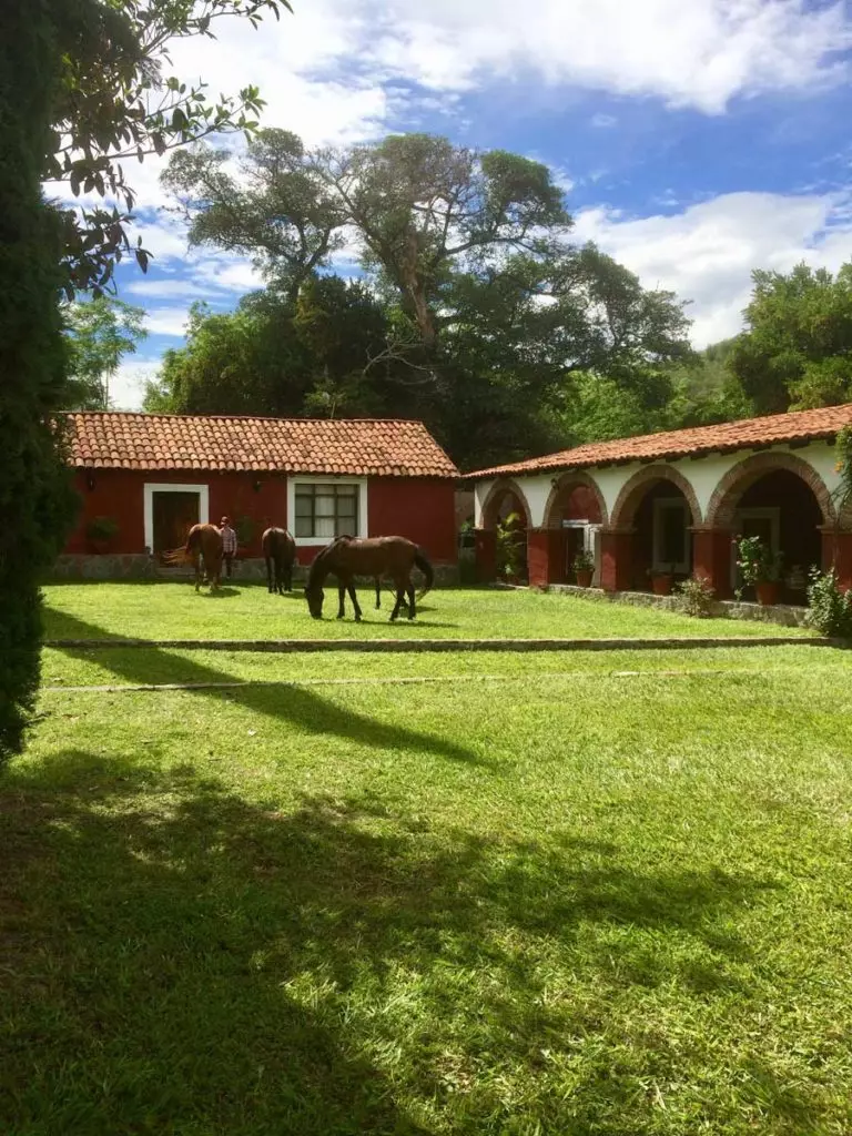 Découvrez Oaxaca à cheval ! 21131_6