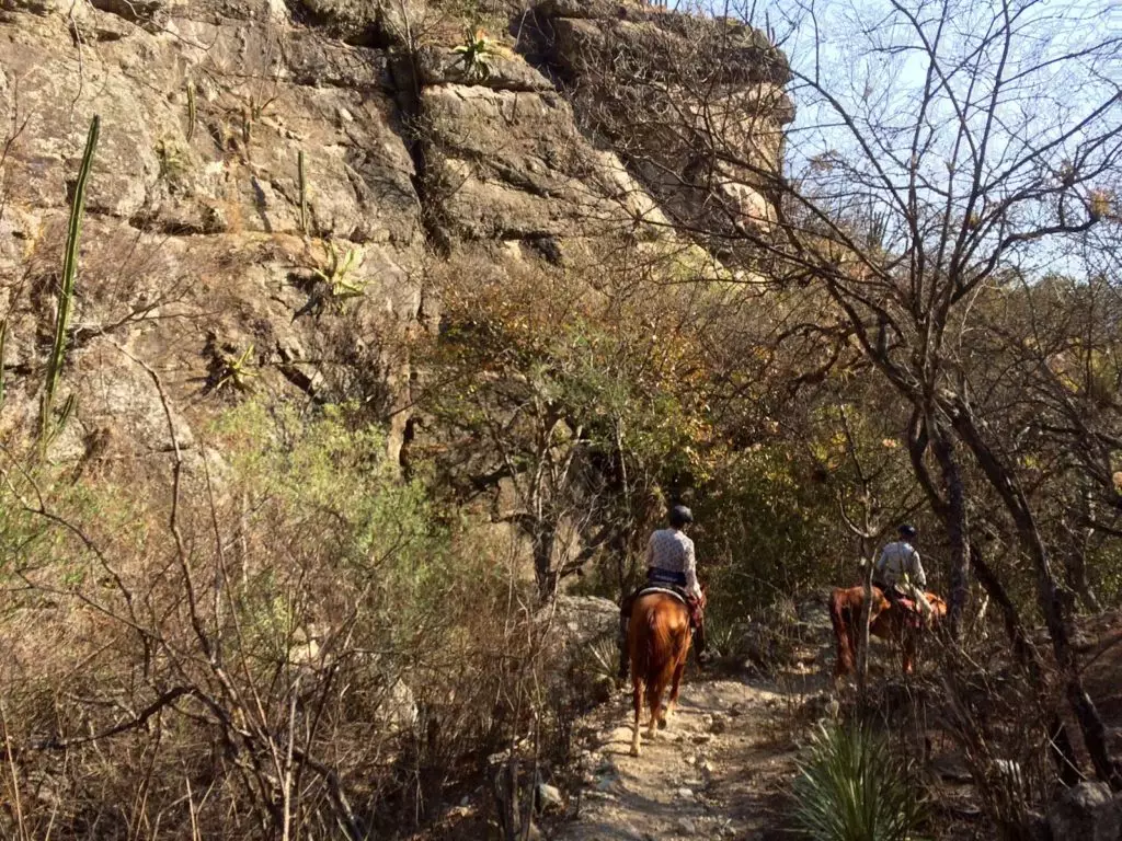 Découvrez Oaxaca à cheval ! 21131_7