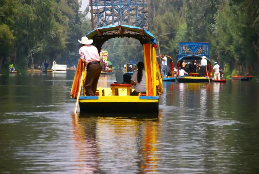 Vim li cas thiaj muaj manatees hauv Xochimilco? 21204_4