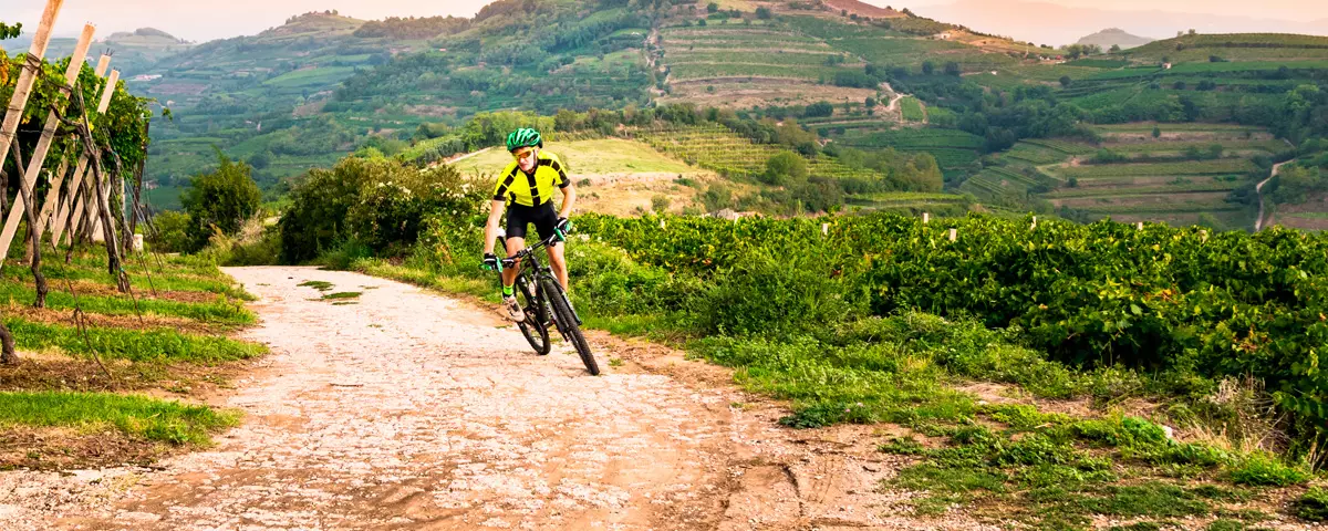 Pedal duerch Wéngerten op der Ruta del Vino Bike Ride zu Baja California fifu