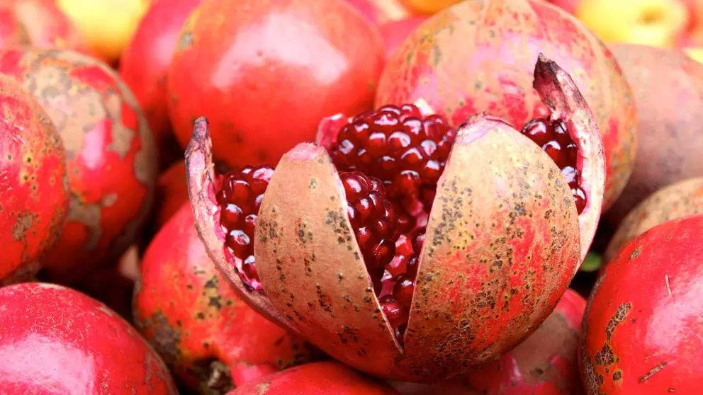 pomegranate_punica_granatum_chiles_pt