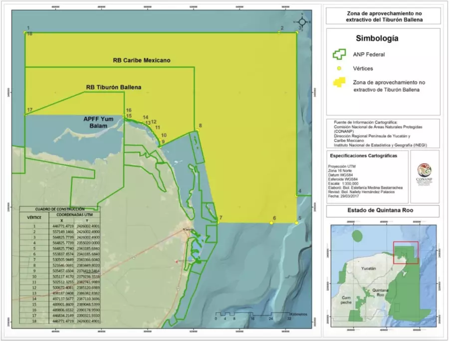 Rekin wielorybi wraca do Holbox 21284_4