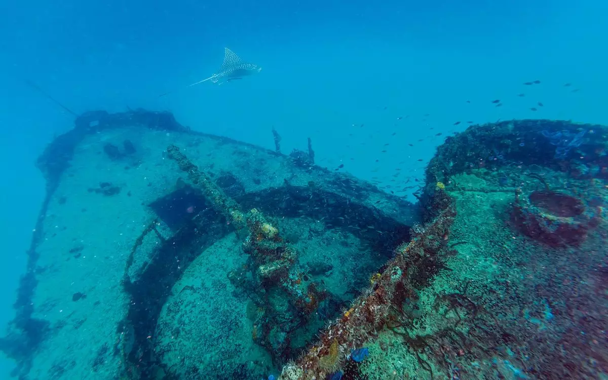 Diving with manta rays in Cancun 21291_3