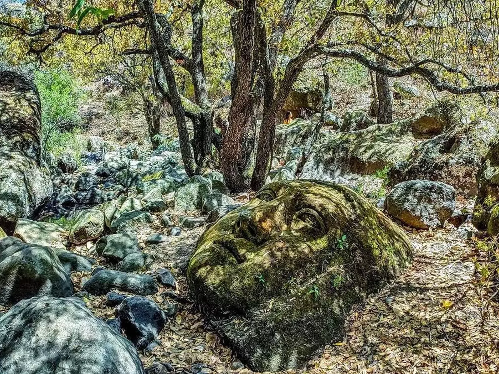 heads_barranca_hidalgo