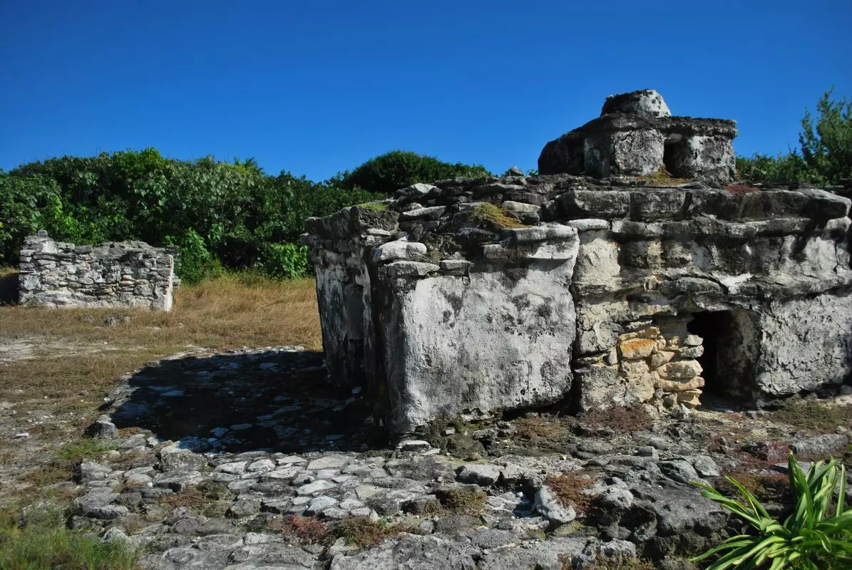 mayojen observatorio