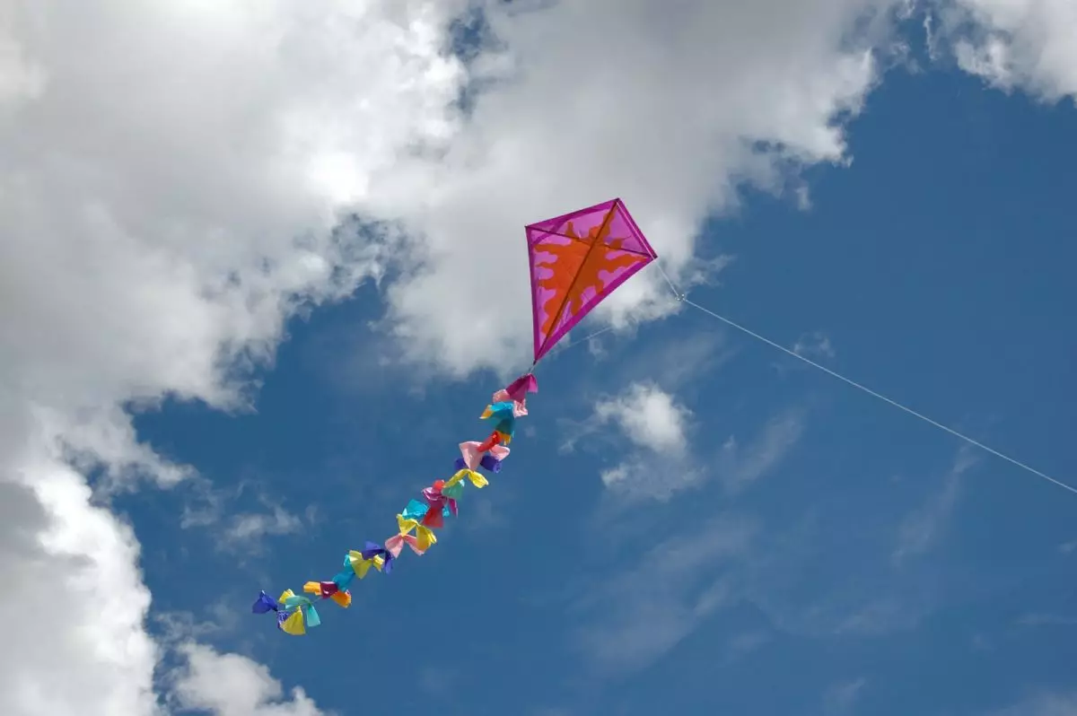 Aza adino ny Festival National Kite Flight 21577_2
