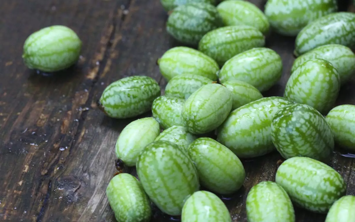 cucamelon