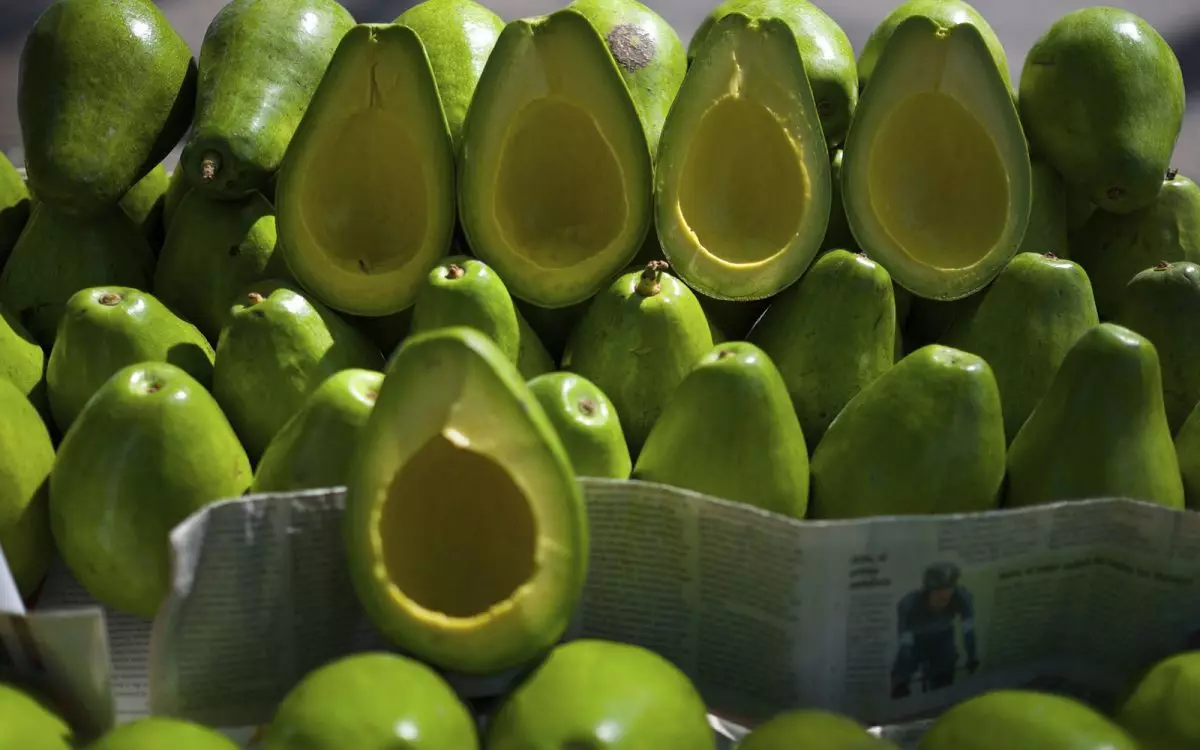 Avocado: sifat obat lan mupangat 21661_2