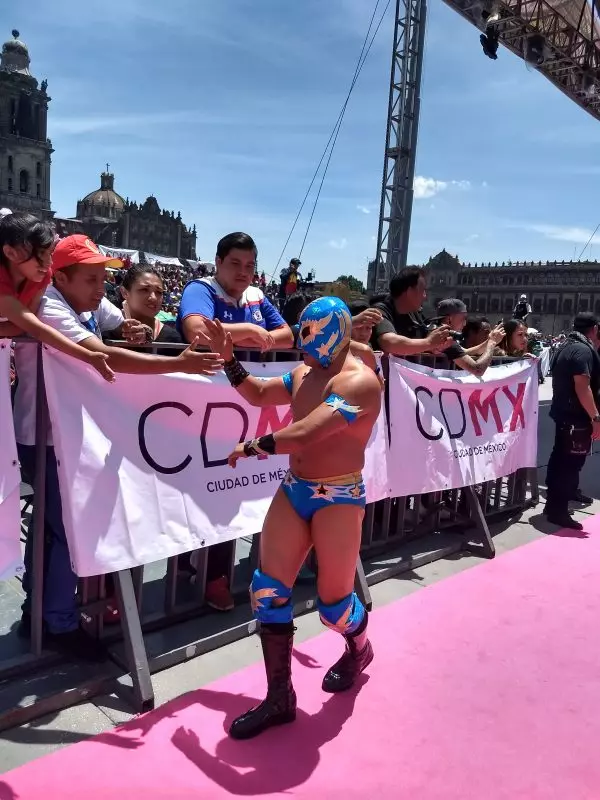 Luktado en Meksiko, historio de la AAA kaj CMLL 21676_11