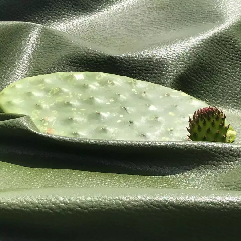 Il-Messikani jivvintaw ġilda sintetika magħmula minn nopal 21834_3