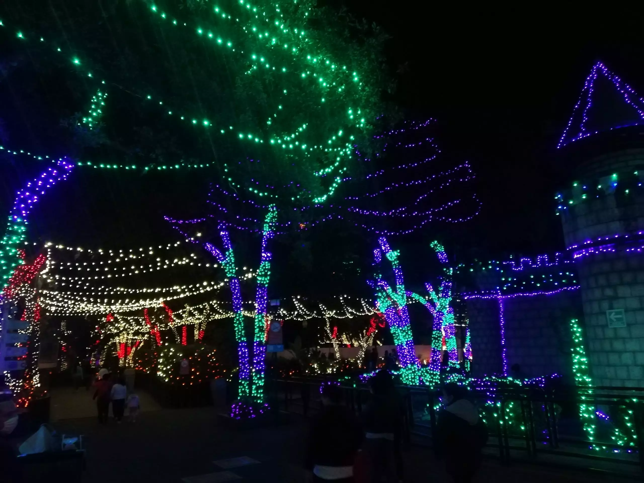 lampu Natal di Taman