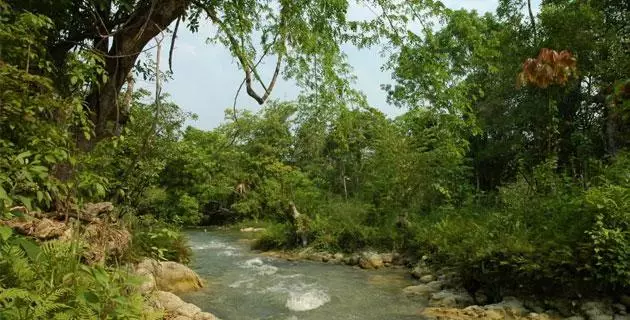Candelaria: en värld av djungler och floder (Campeche) fifu