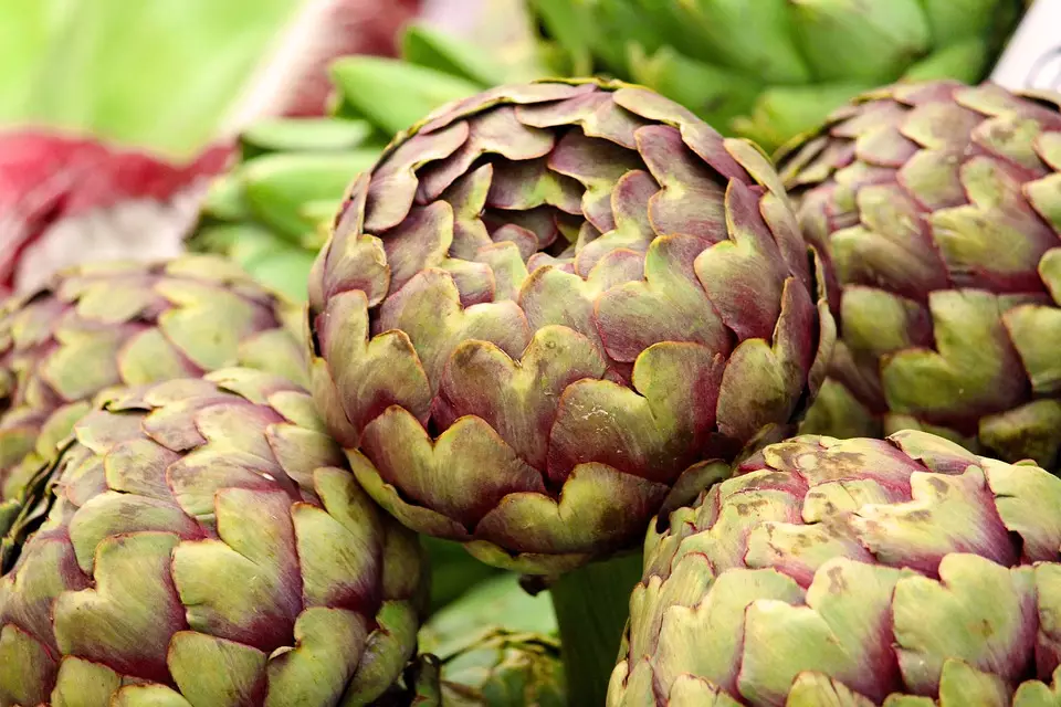 artichoke-4253464_960_720