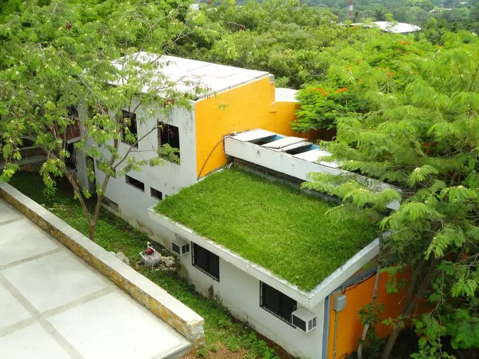 Mexičané vytvářejí lehké a levné zelené střechy, které chladí více než 15º