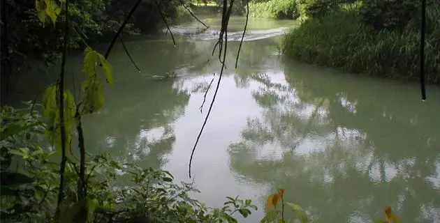 Cinco copos na cachoeira de El Pescadito (Puebla) fifu