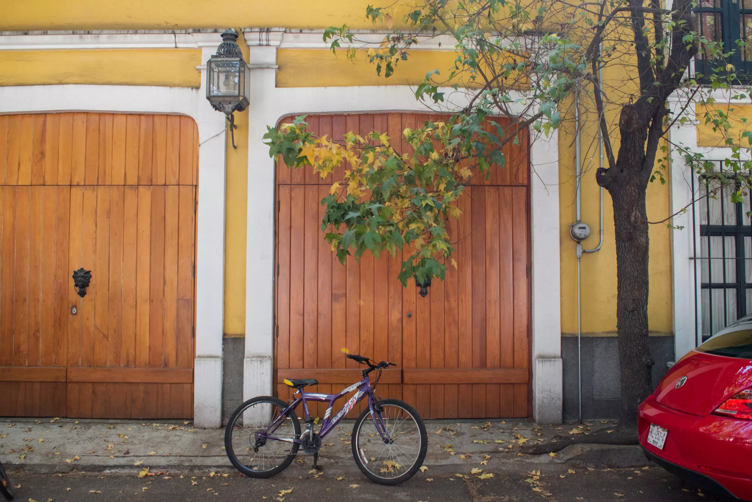 Klassisk gult hus og vakre blomster i Mexico City