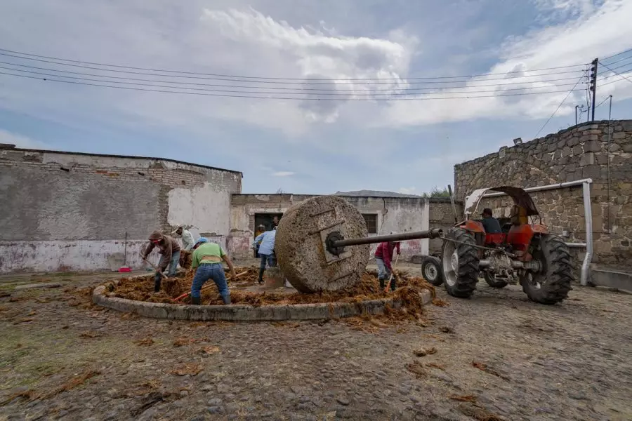 Summer ໃນ San Luis Potosí, 10 ເຫດຜົນທີ່ຈະໄປຢ້ຽມຢາມມັນ 22301_8