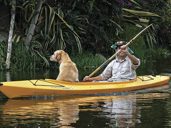 Rruga Xochimilco 360: Nga skela Nuevo Nativitas në Parkun Ekologjik Xochimilco 22372_7