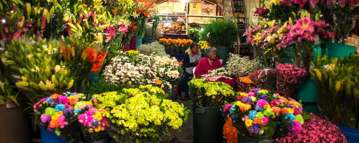 market-jamaica-cdmx-ਟਿਪਸ