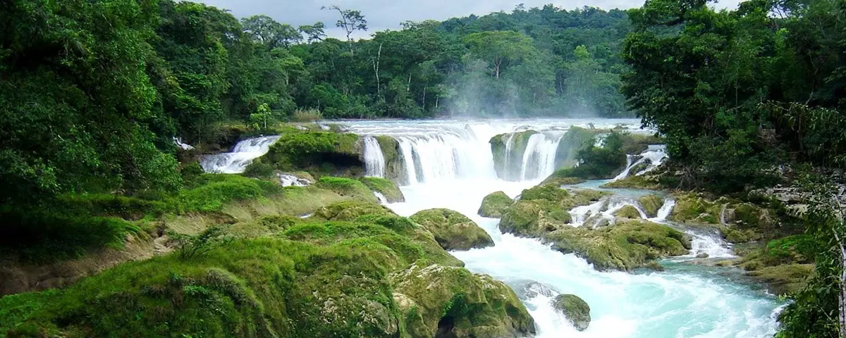 Berjalan-jalan di awan di Chiapas fifu