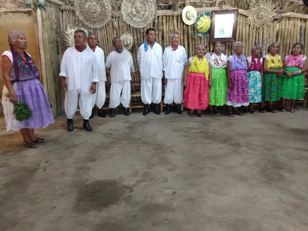 Cumbre Tajín 2019, Totonacapani muusika ja kunst 22756_2