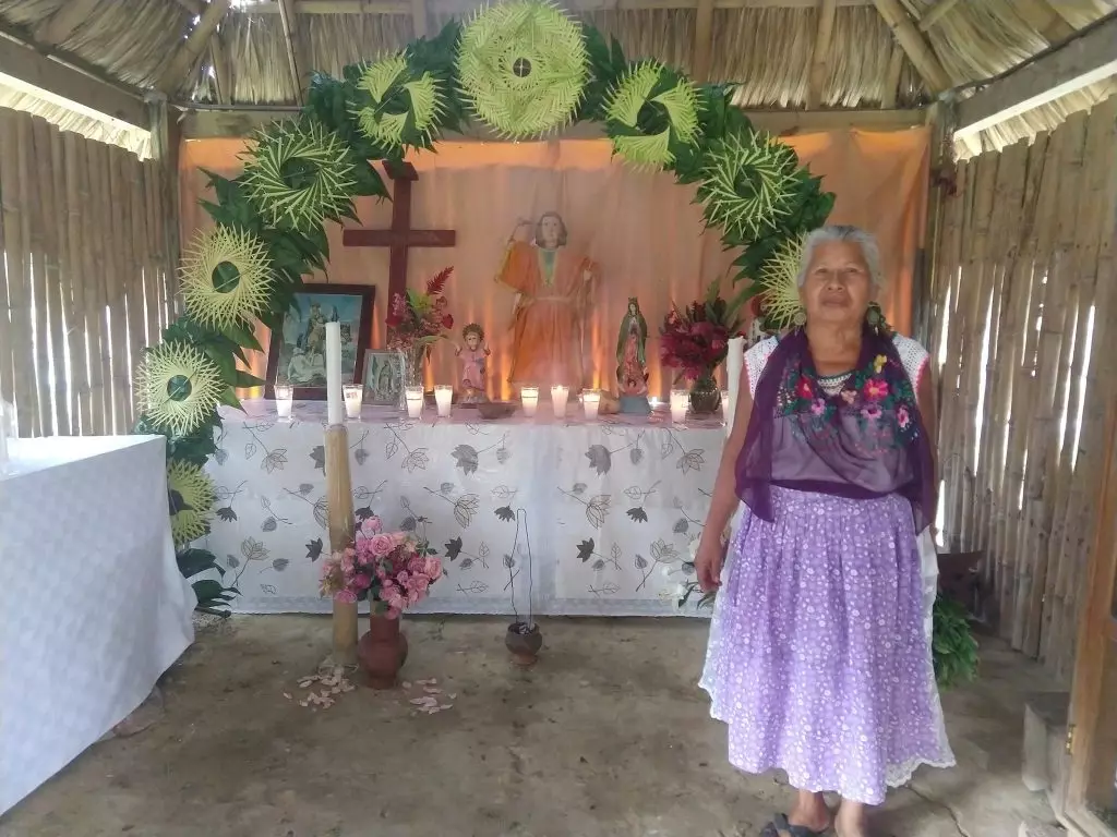 Cumbre Tajín 2019, Totonacapan-ի երաժշտություն և արվեստ 22756_4