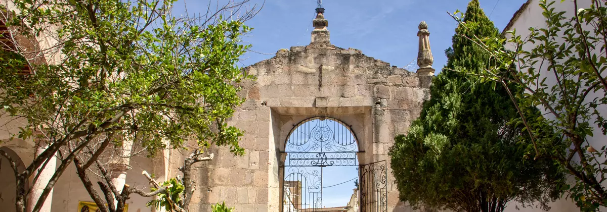 zacatecas_pueblo_magico_teul_santuario_virgen_guadalupe_pj