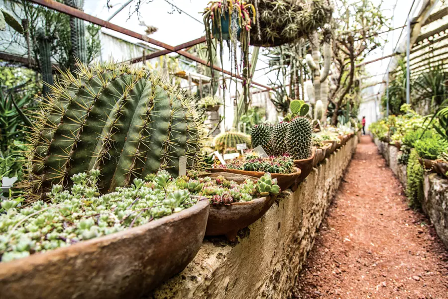 Kebon botani di Cadereyta