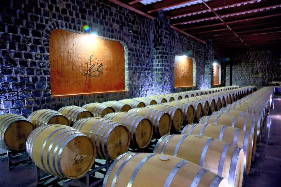 Winnice Don Leo są jednymi z najbardziej ekstremalnych na świecie i znajdują się w Meksyku