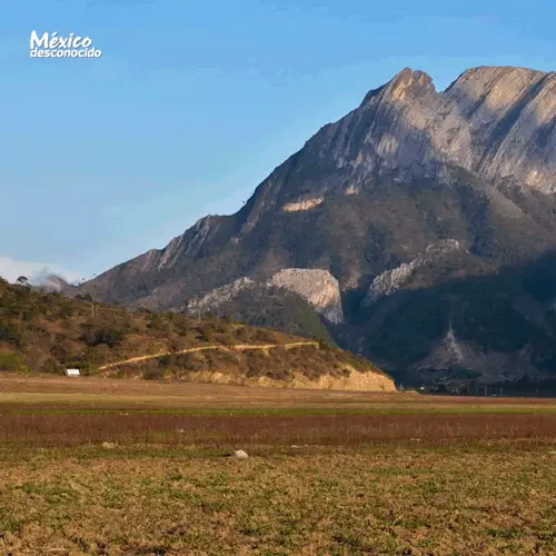 मार्सेला गोंजालेज