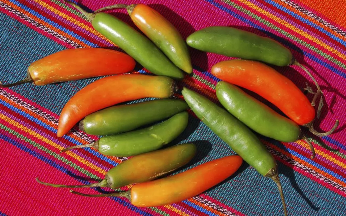 Serrano chili, bardzo meksykańskie chili.