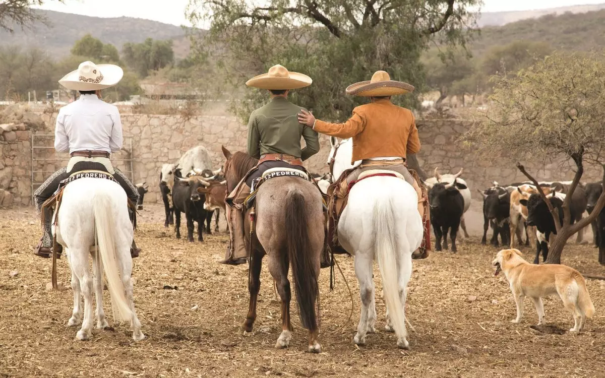 Charrería a Mexiko: zu Jalisco.