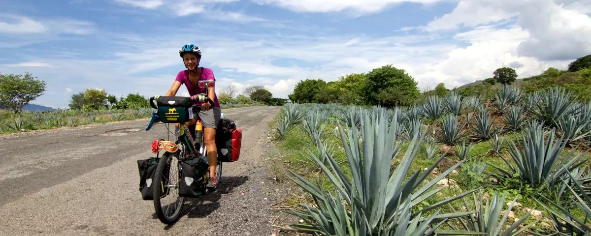 Uppgötvaðu Mexíkó á hjóli: fifu tequila leiðin