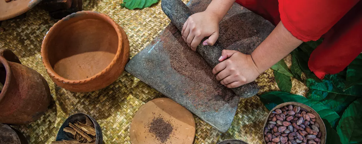 Festîvala Çîkolata li Tabasco, rêzgirtinek ji fifu kakao