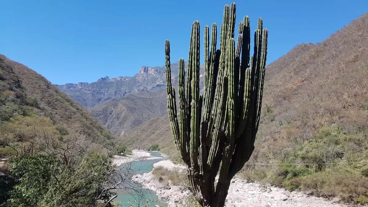 Zo werd de Caballo Blanco Ultra Marathon 2019 beleefd, zie de foto's 23629_4