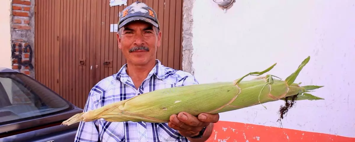 i-challah-corn-giant-elote