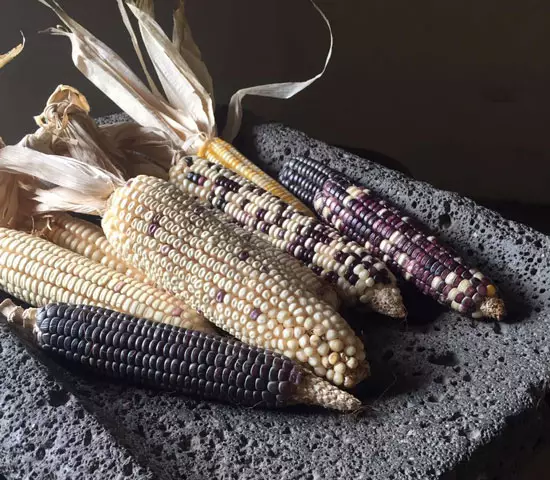 Corn Fair 2019