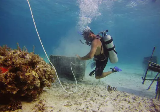 The luxurious jewels that are born from the sea of ​​Cozumel 24045_2