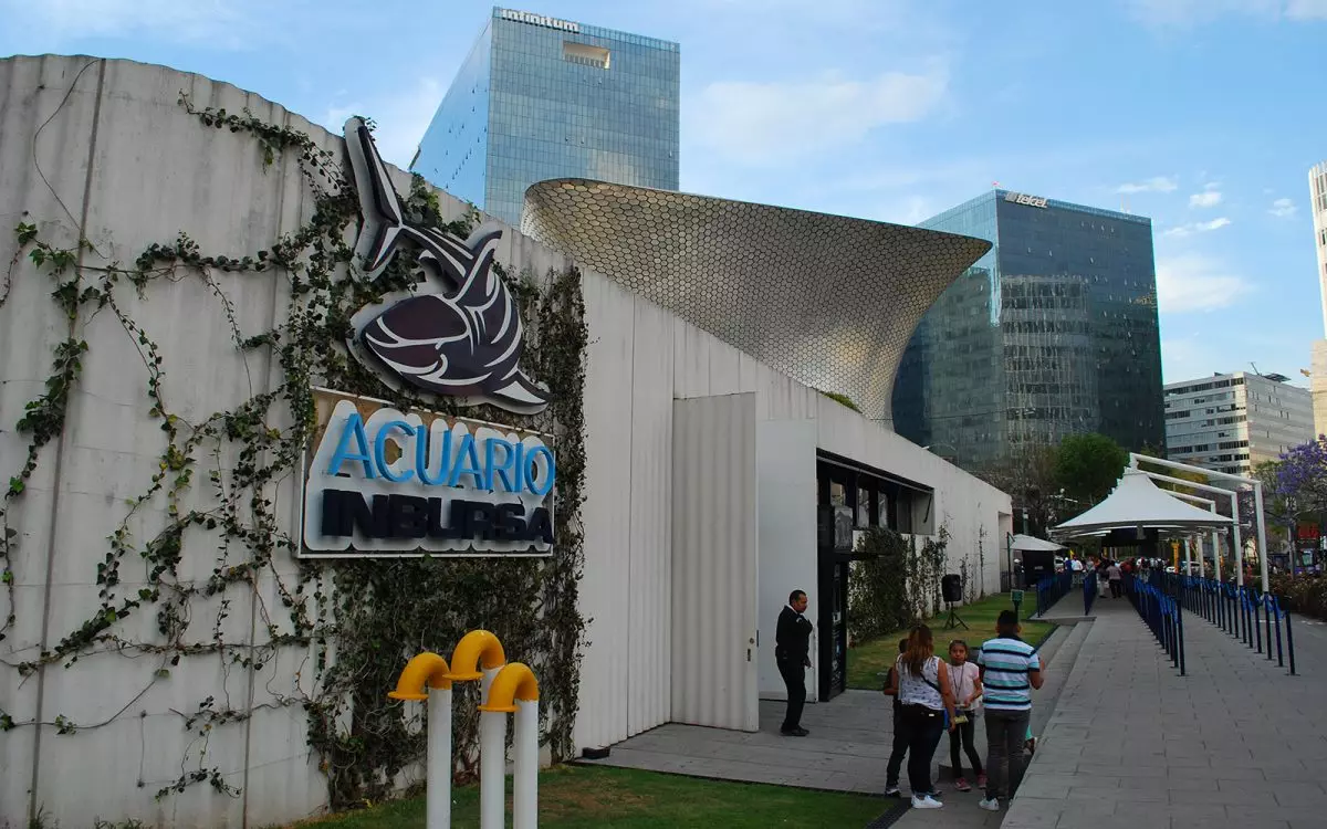 inbursa aquarium